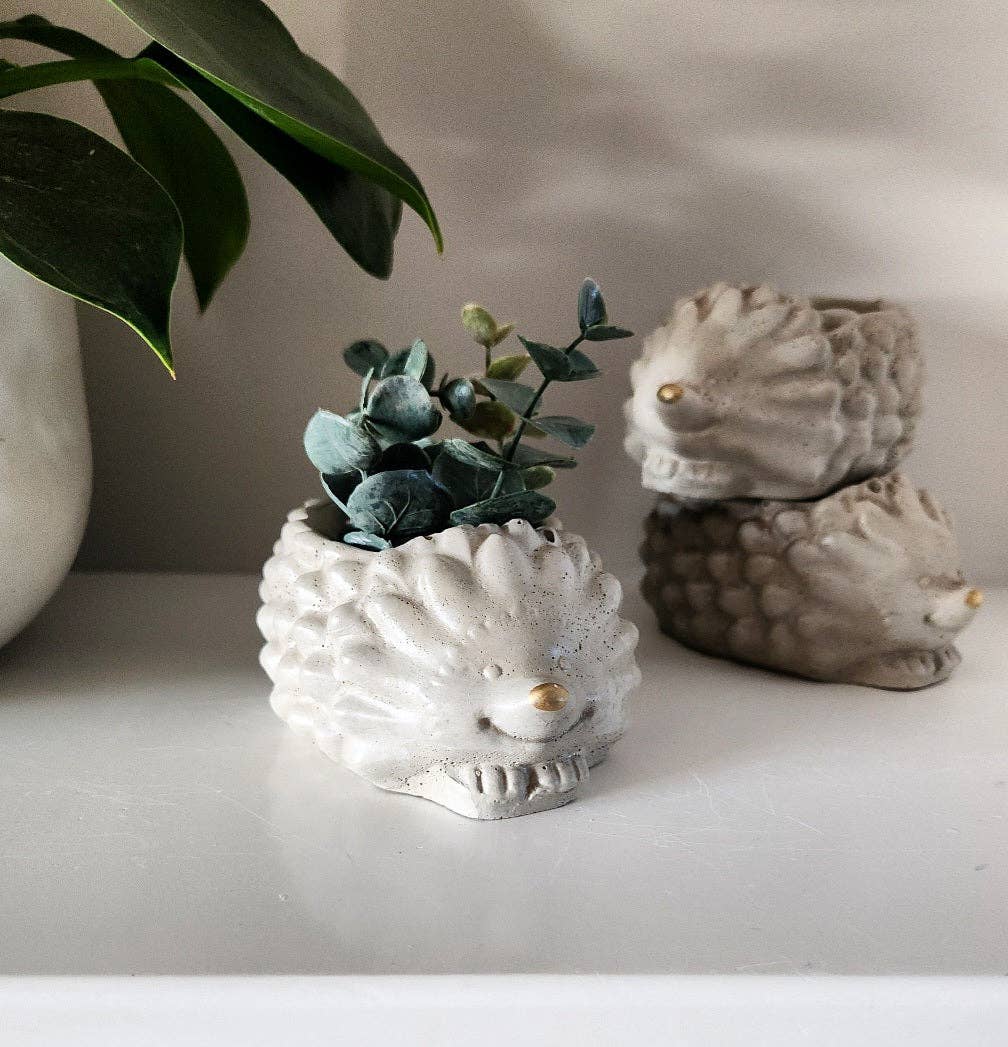 PLANT ‘ER HERE Marley the Hedgehog – Aria Boutique